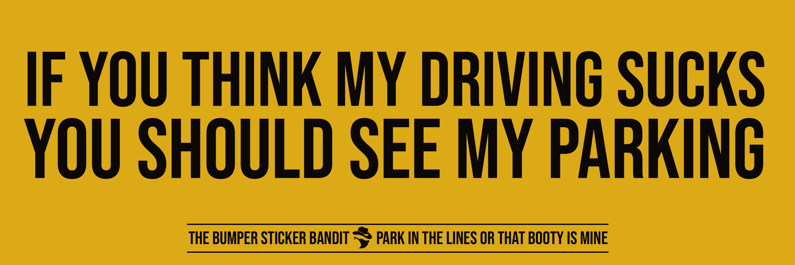 Driving and parking – Bumper Sticker Bandit